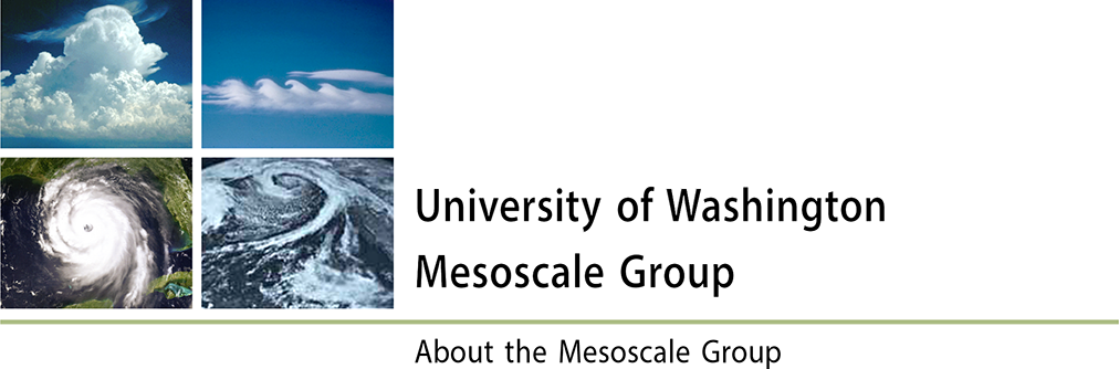 Mesoscale Group | About the Mesoscale Group