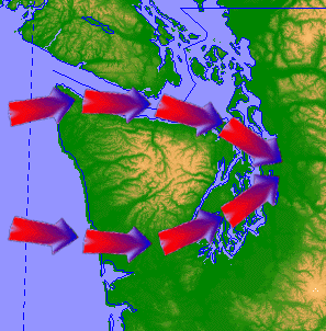 Pacific Northwest terrain.