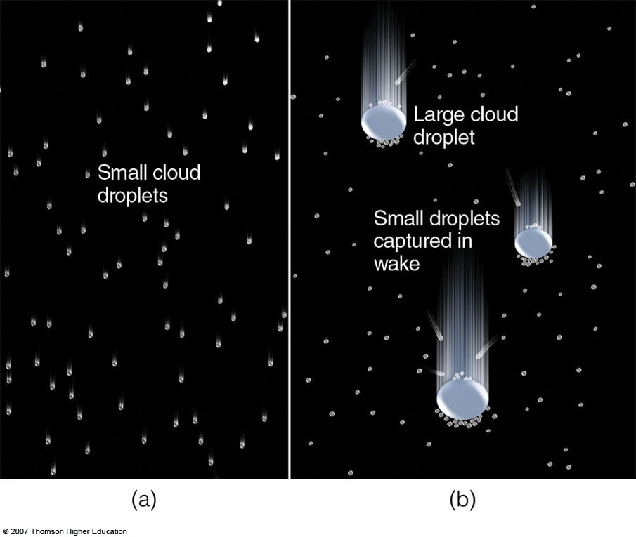 Collision-coalescence growth of cloud droplets.