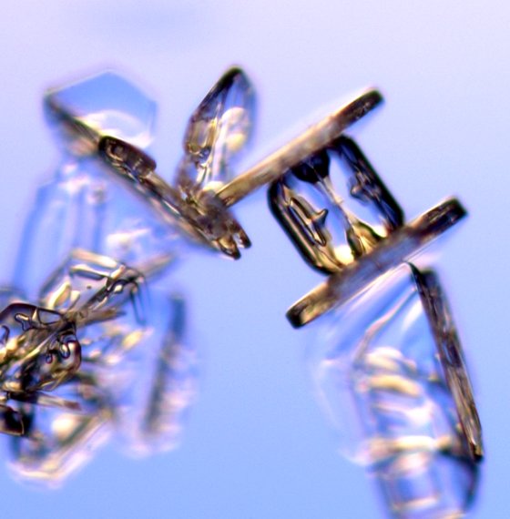 These images were taken from snowcrystals.com ;they have additional ...